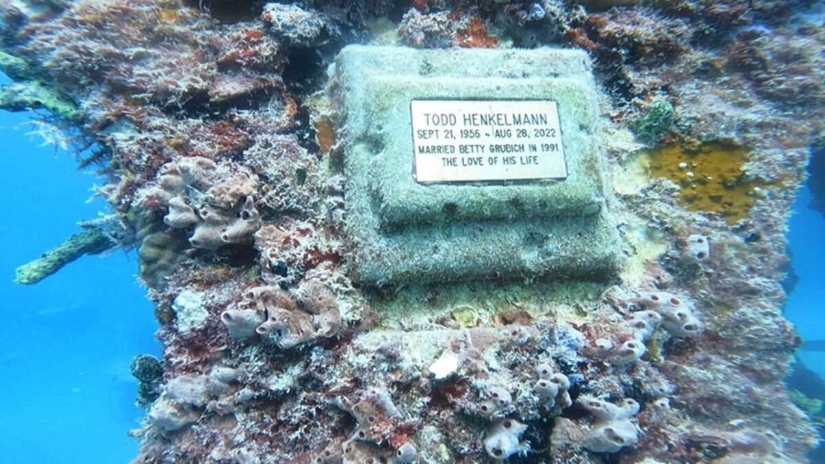 Descanso eterno en el mar el cementerio marino que cambiará la forma de ...